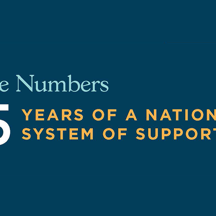 By the Numbers: 25 Years of a Nationwide System of Support | NIET ...